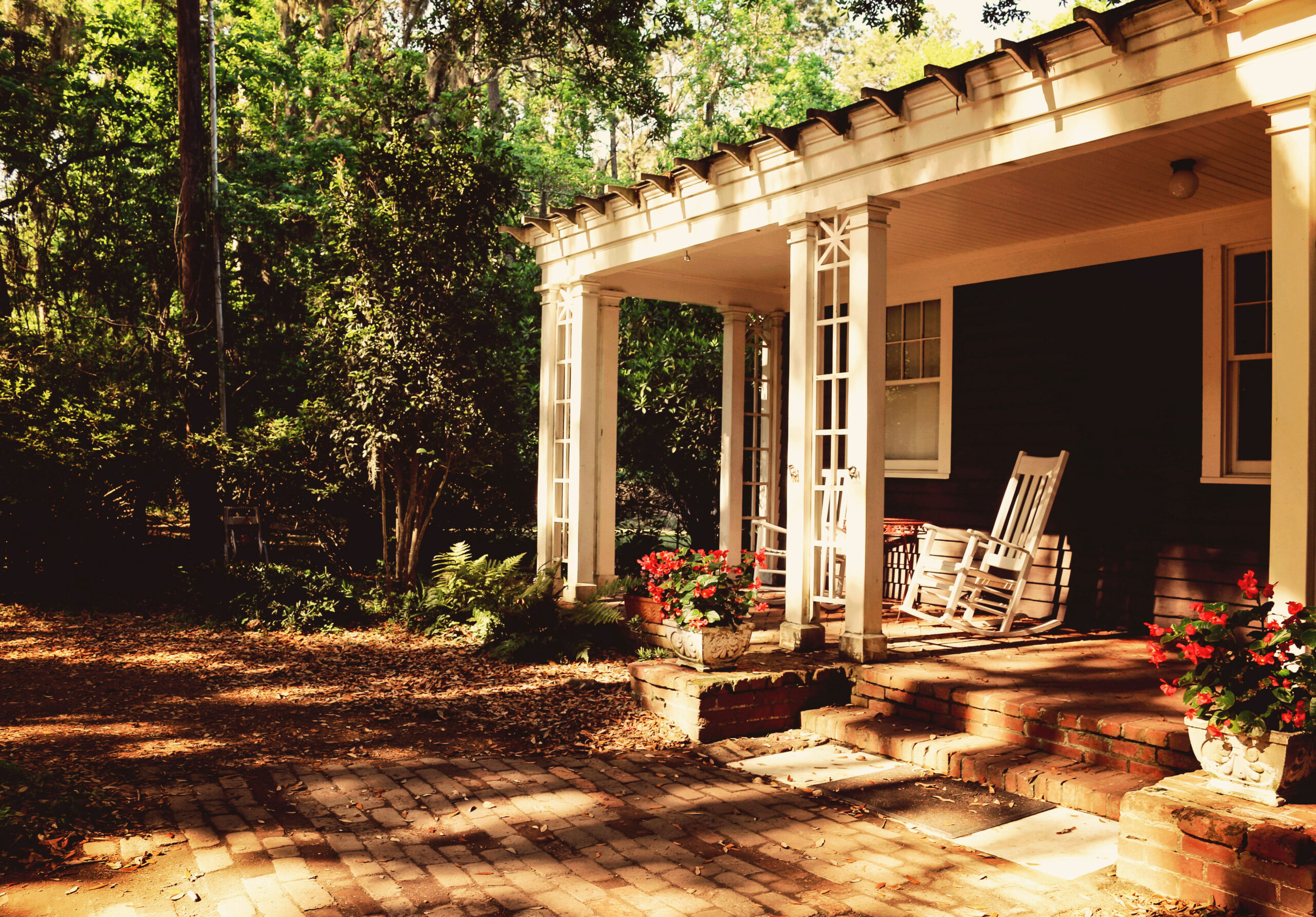 The Forest City History And Photographs - Forest City Of The South